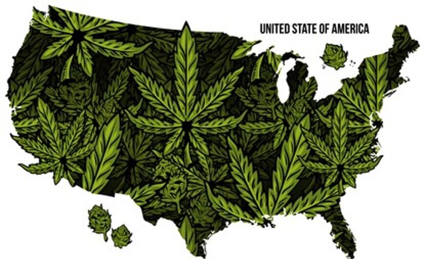 Hemp Laws in All 50 States: Guide to Regulations & Compliance - Connor ...