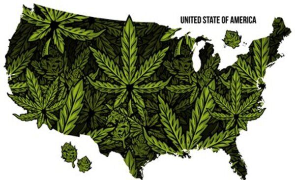 Hemp Laws in All 50 States: Guide to Regulations & Compliance - Connor ...